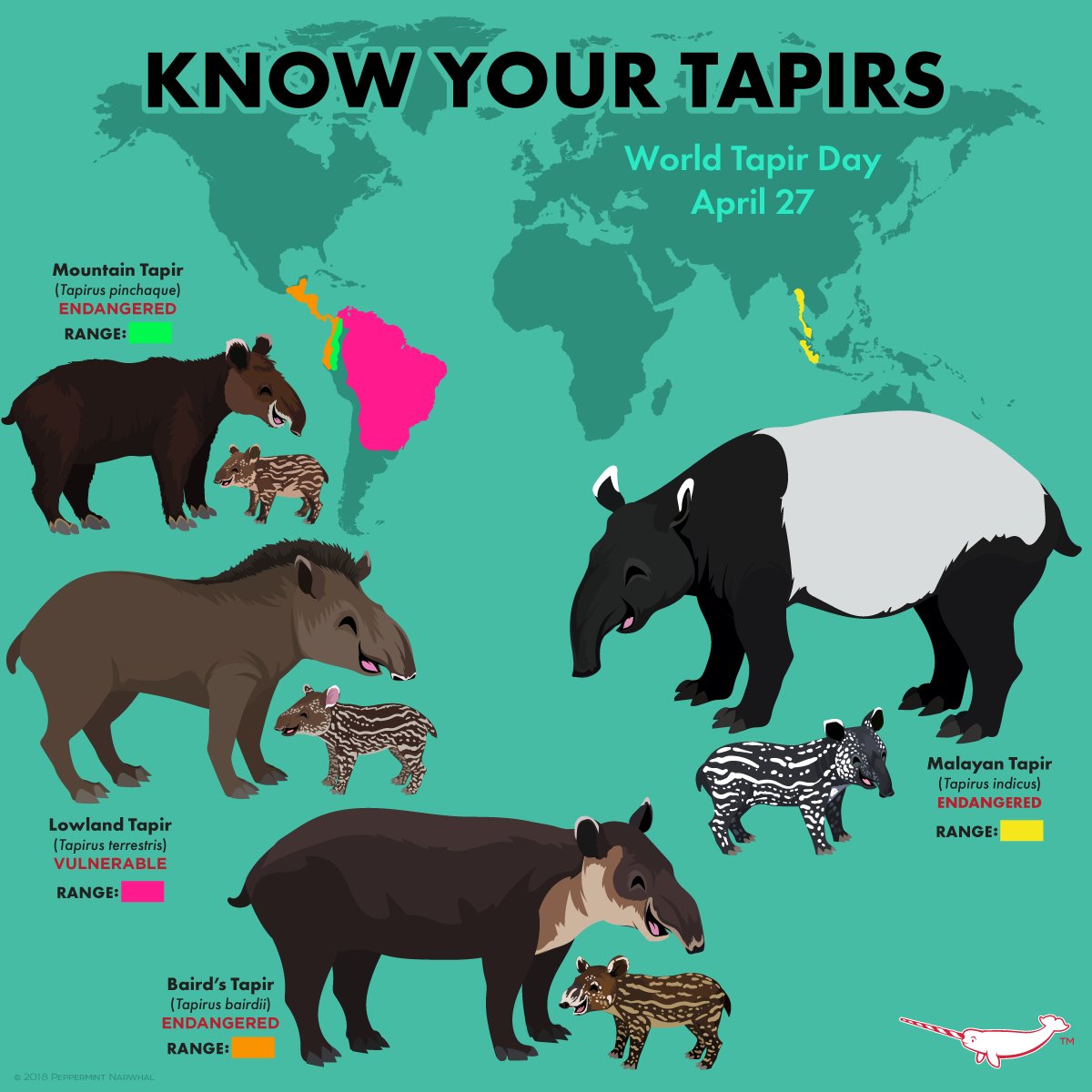 Tapiri | biologično